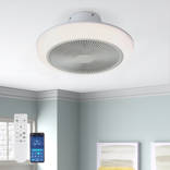Bell + Howell Socket Fan, Ceiling Fan With 1000 Lumens Warm Light ...