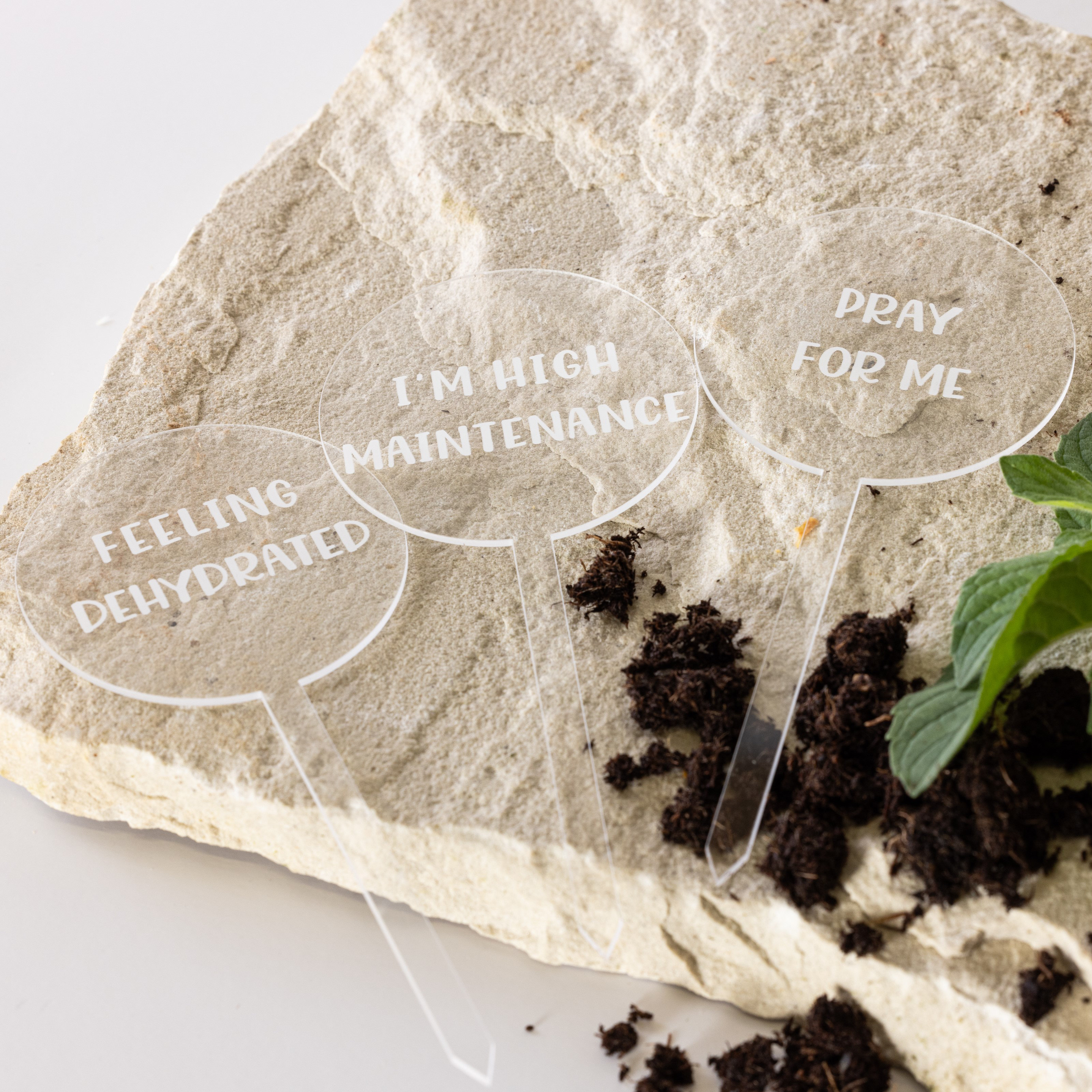 Transpac Acrylic Survive/Drink/Forget Plant Picks Home Decorations ...