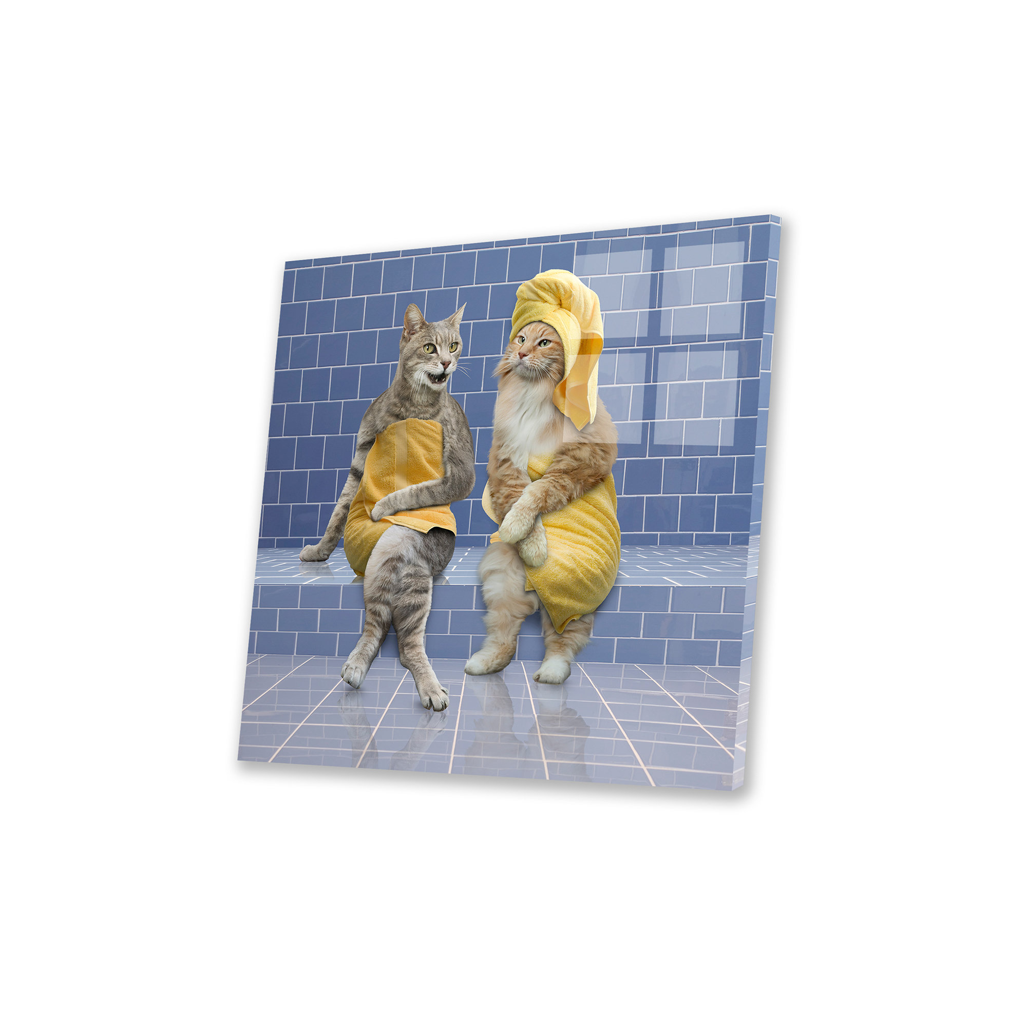 Trinx Steam Cats On Plastic / Acrylic by Lund Roeser Print | Wayfair