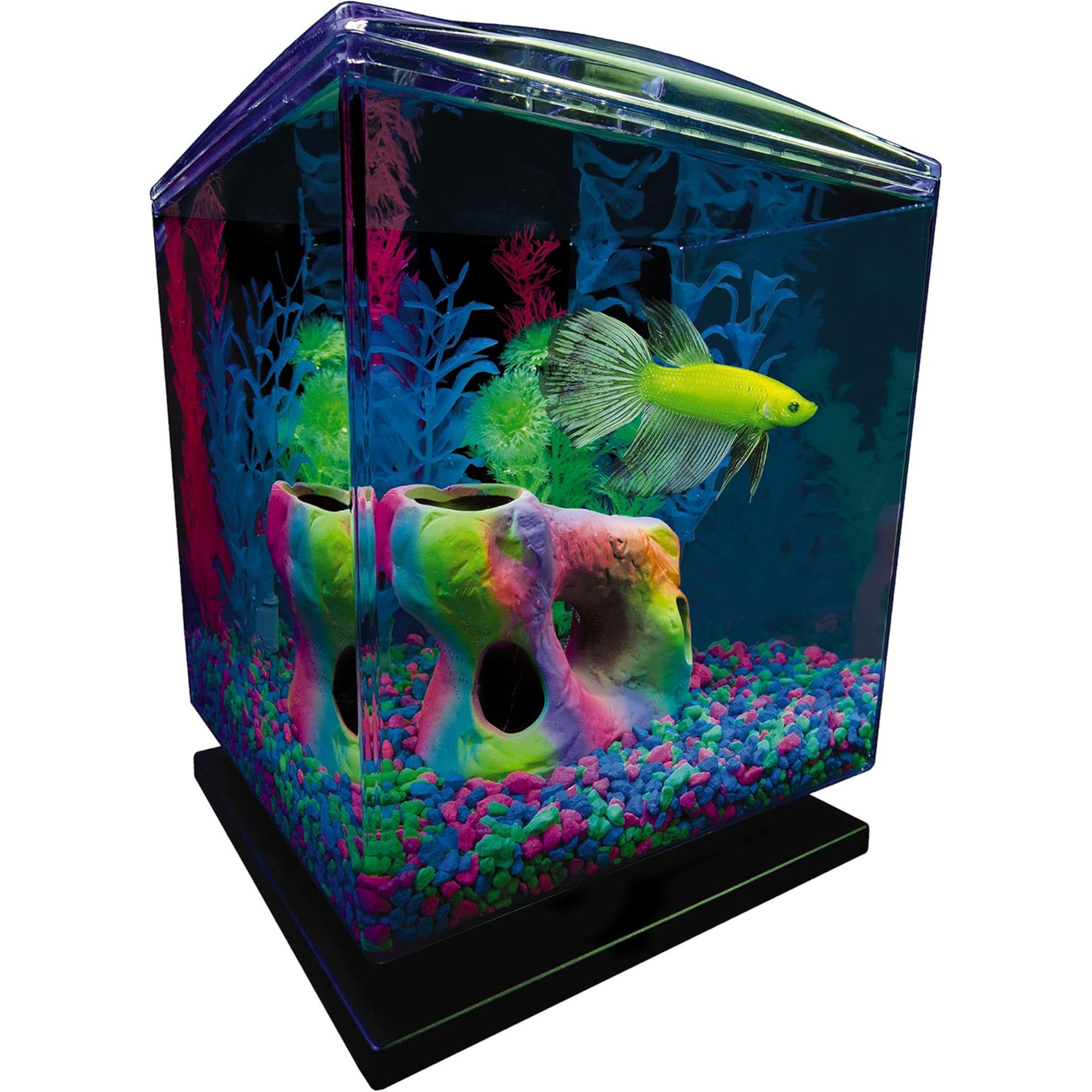 Ebern Designs Betta Aquarium Kit 1.5 Gallons, Easy Setup And ...