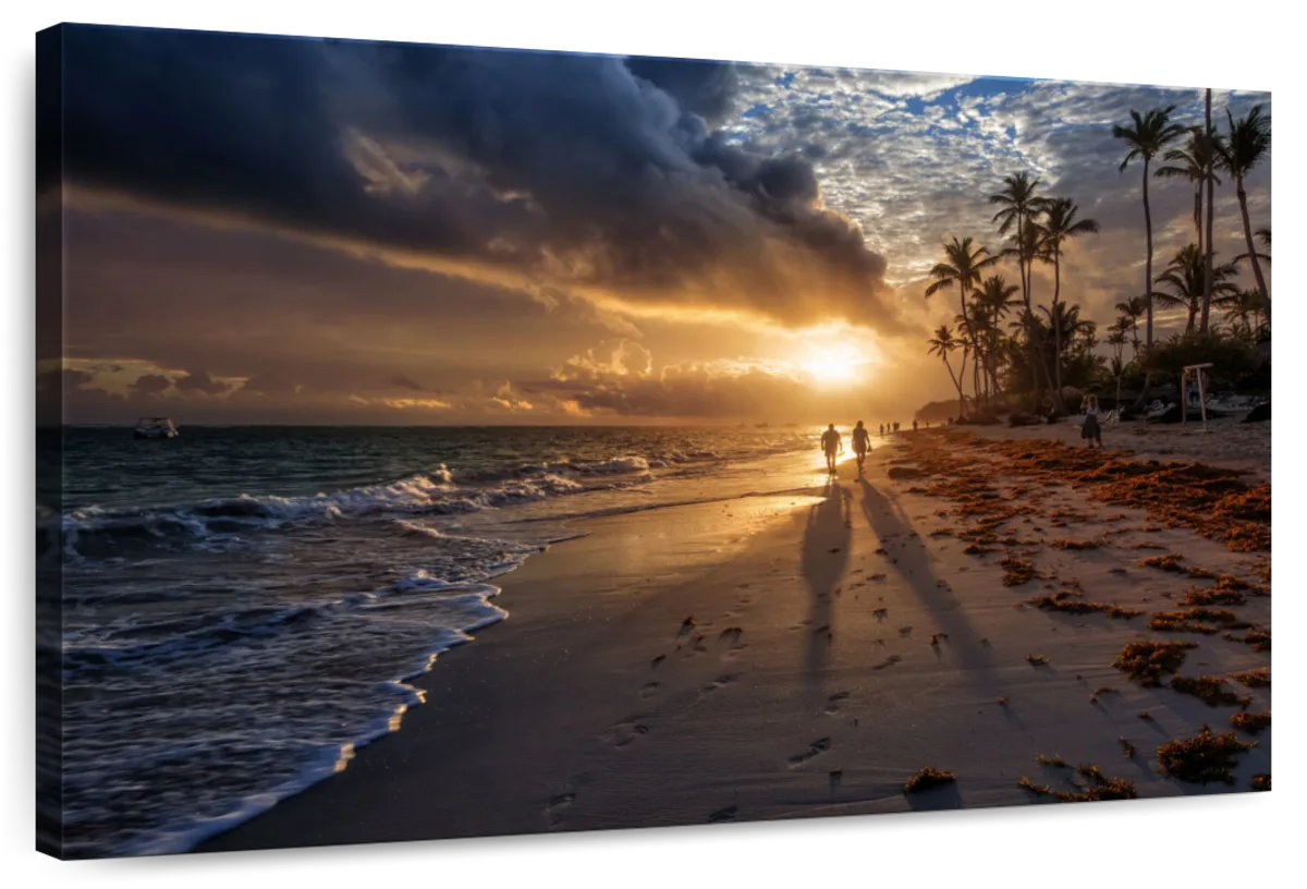 Elephant Stock Dominican Beach Scenery | Wayfair