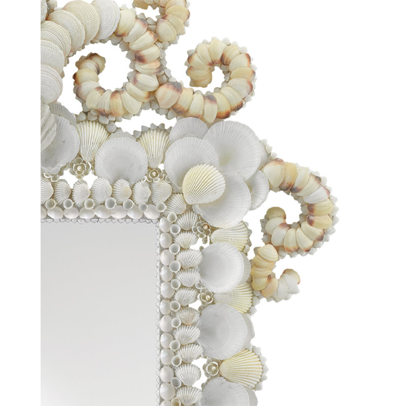 Currey & Company Cecilia Coastal Accent Mirror | Perigold