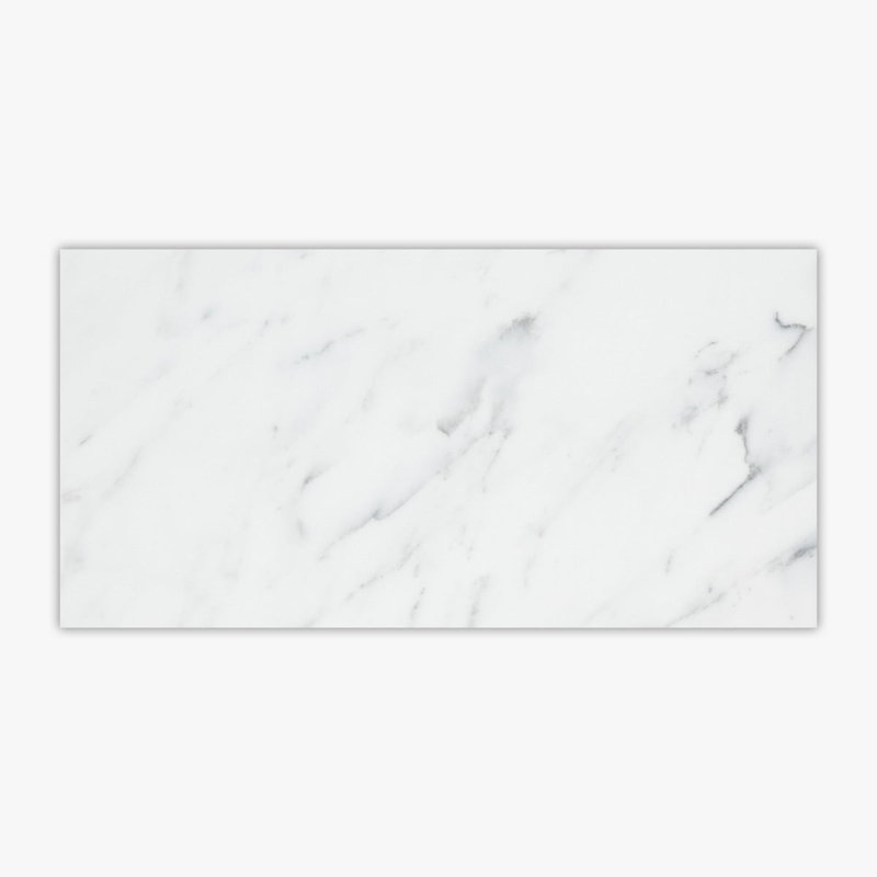 Calacatta Tile Statuary Honed 6" x 12" Marble Wall & Floor Tile | Wayfair