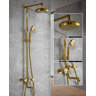 Sani Canada Gold Polished Exposed Victorian Industrial Shower System ...