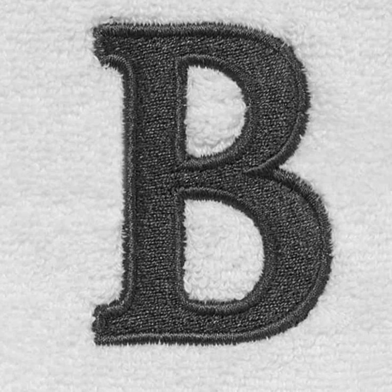 Winston Porter Yucheng Fingertip Towel | Wayfair