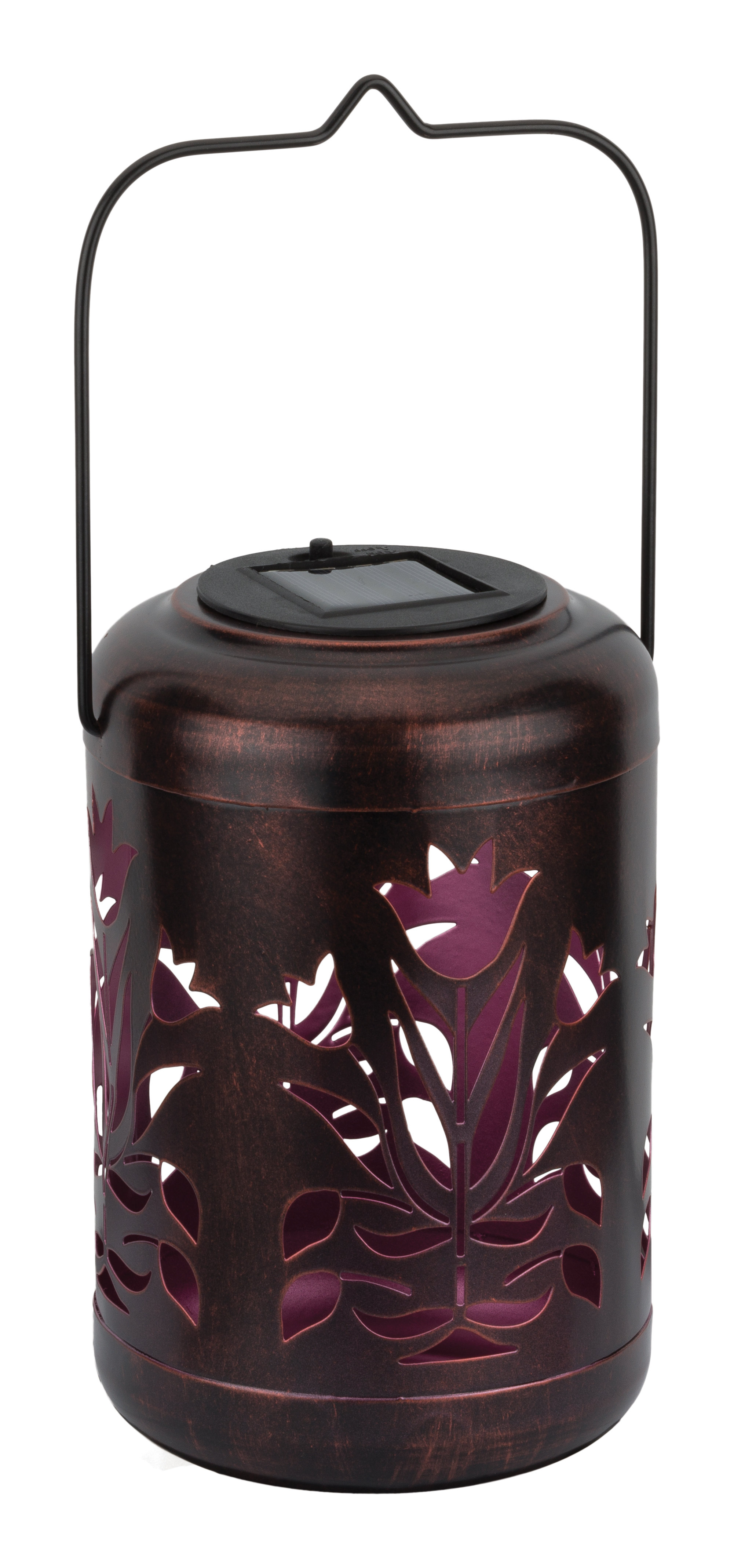 Regal Art & Gift 14'' Solar Powered Integrated LED Outdoor Lantern ...