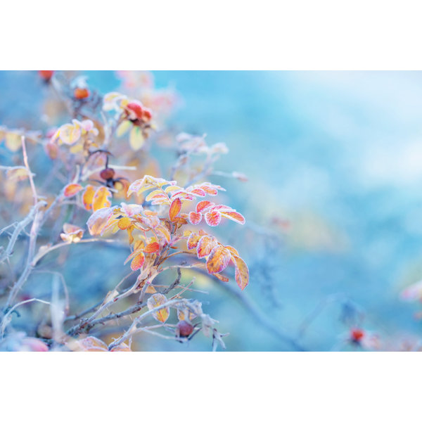 Latitude Run Biddlesden Autumn Leaves by Maya23K - Wrapped Canvas Print ...