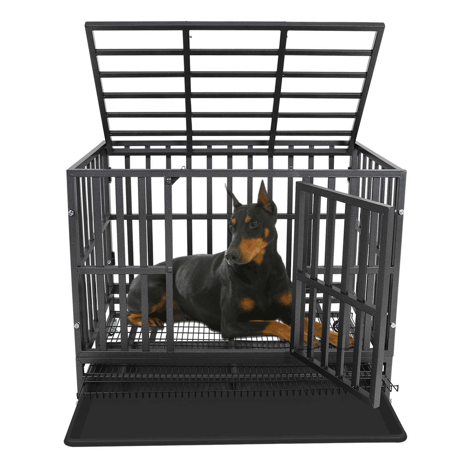 Archie & Oscar™ Archie & Oscarâ„ Heavy Duty Dog Crate Metal Kennel, Pet ...
