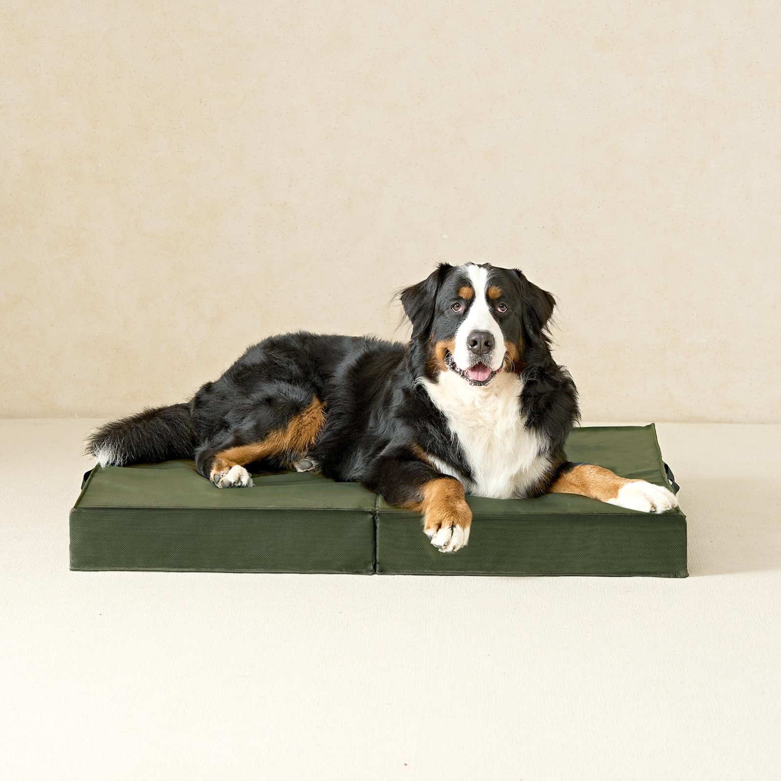 Tucker Murphy Pet™ Foldable Waterproof Dog Bed, Suitable For Super ...