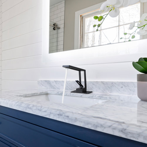TL Single-Hole Single-handle Bathroom Faucet & Reviews | Wayfair