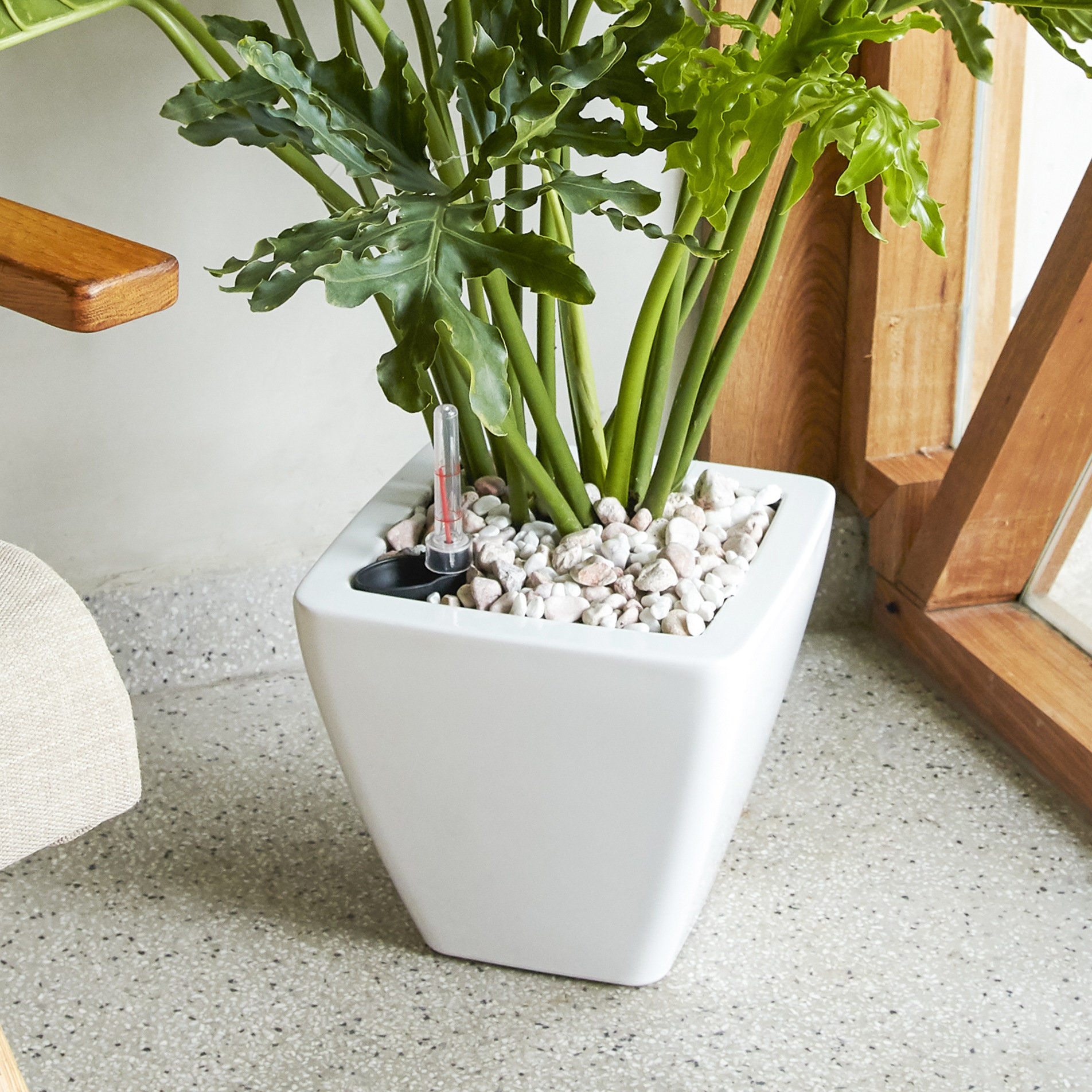 Arlmont & Co. 2 Indoor & Outdoor Self-Watering Jar - Square Cone With ...