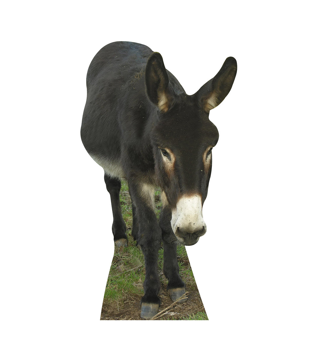 Star Cutouts Donkey Cardboard Standup | Wayfair