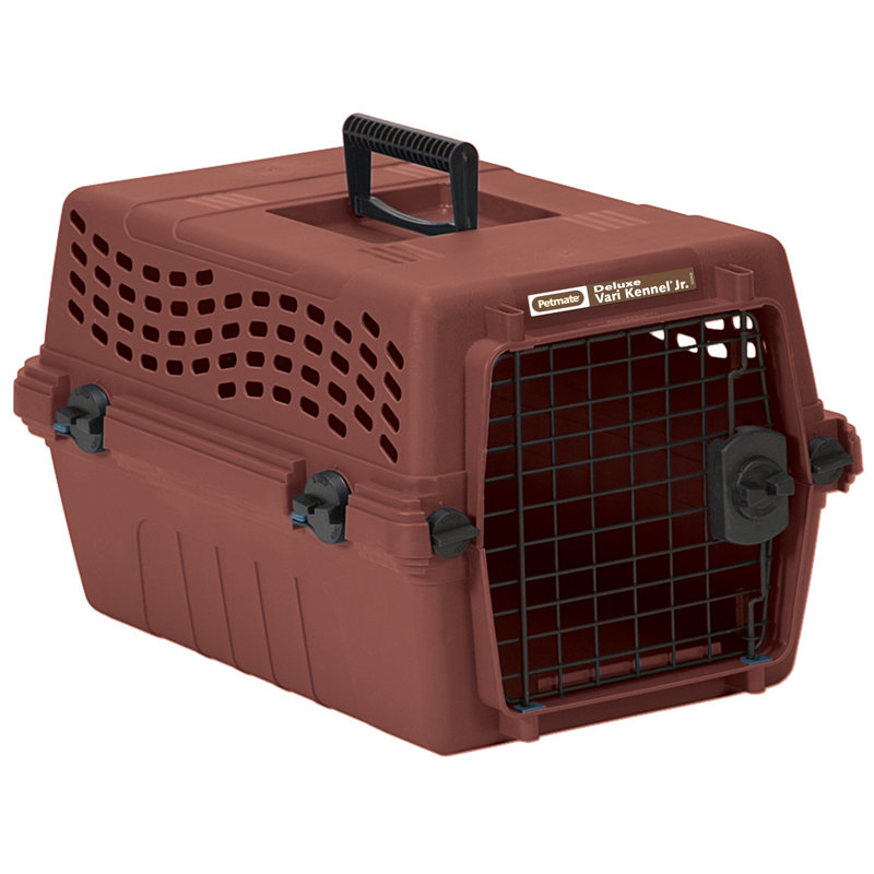 Petmate Deluxe Pet Porter Jr. Intermediate, Samba Red | Wayfair