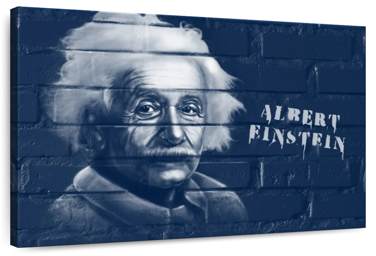 Elephant Stock Scientist Graffiti | Wayfair