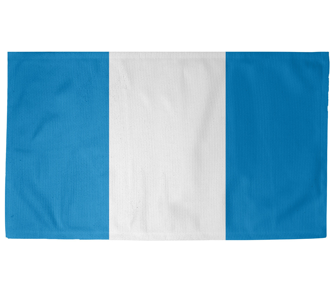 East Urban Home Carolina Football Blue Area Rug - Wayfair Canada