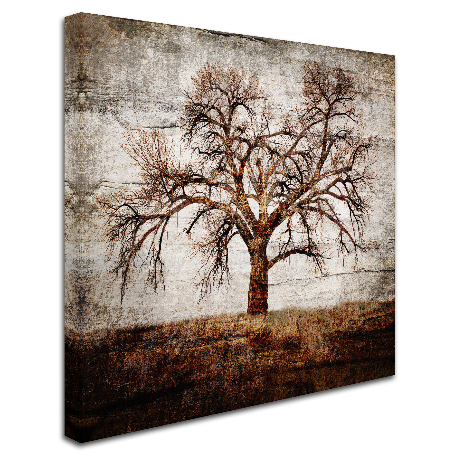 Winston Porter 'Cottonwood Tree Part 01' Graphic Art Print on Wrapped ...