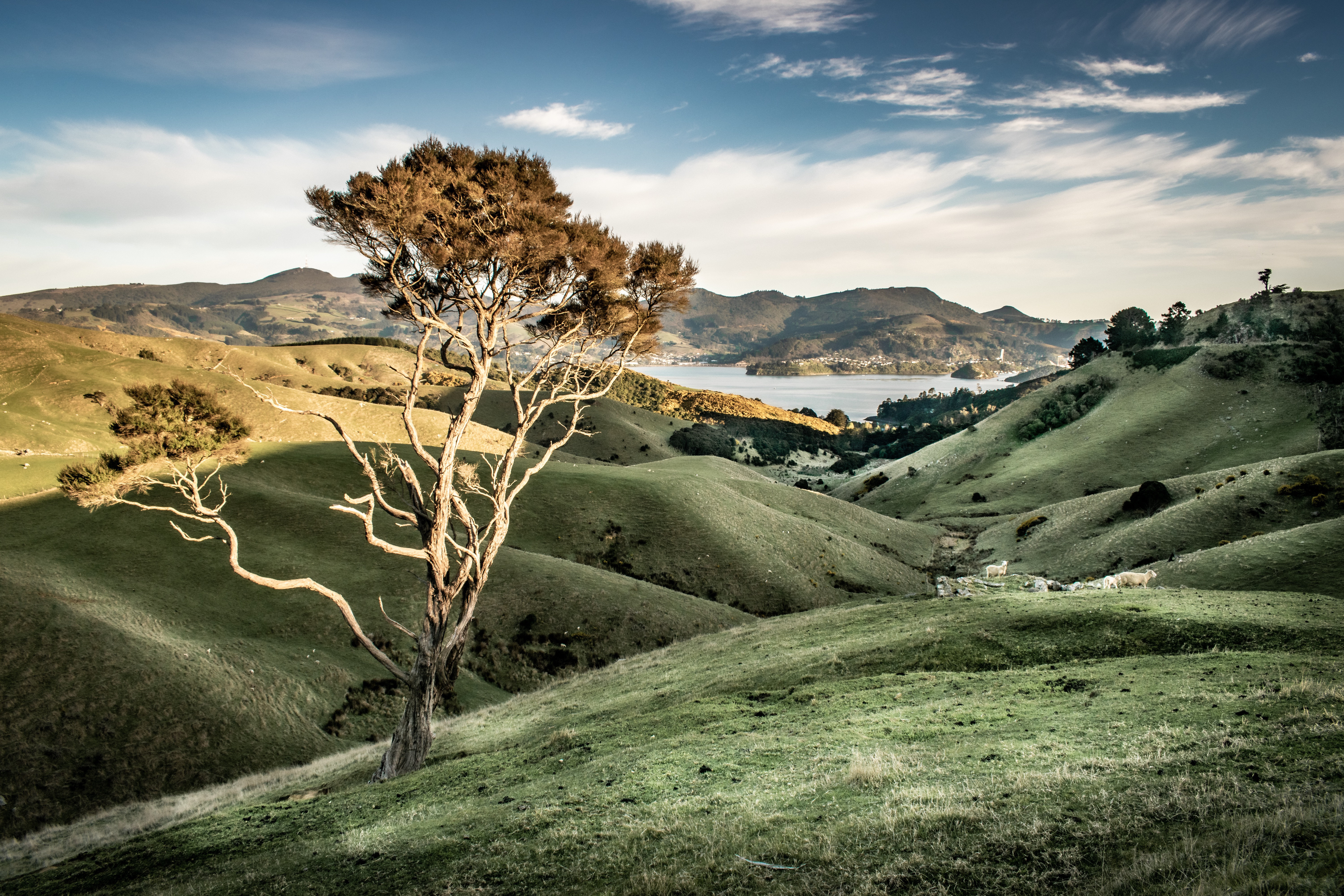 House of Hampton Port chalmers at sunrise | Wayfair.co.uk