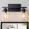 Wade Logan® Addam 2 - Light Dimmable Vanity Light & Reviews | Wayfair