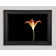 Brayden Studio X-Ray Orange - Single Picture Frame Art Prints | Wayfair ...