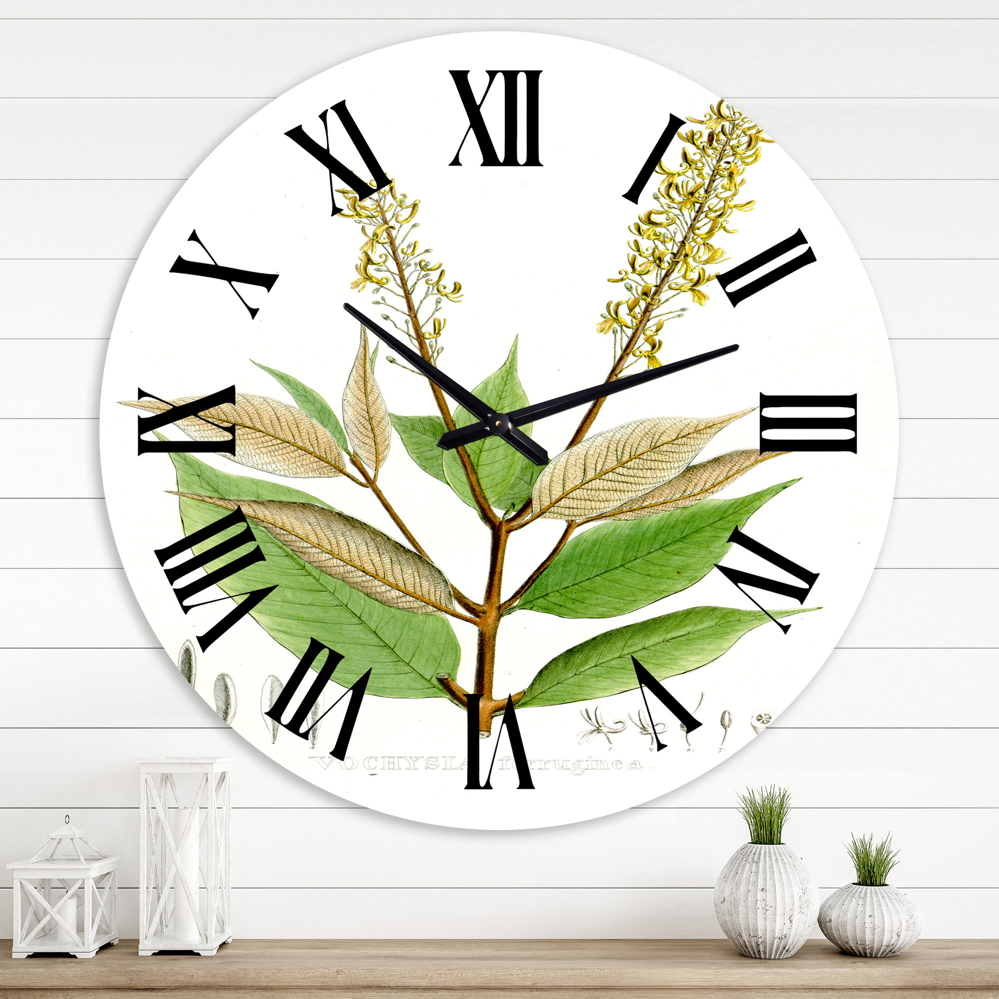 East Urban Home Vintage Brazilian Plant V - Traditional wall clock ...