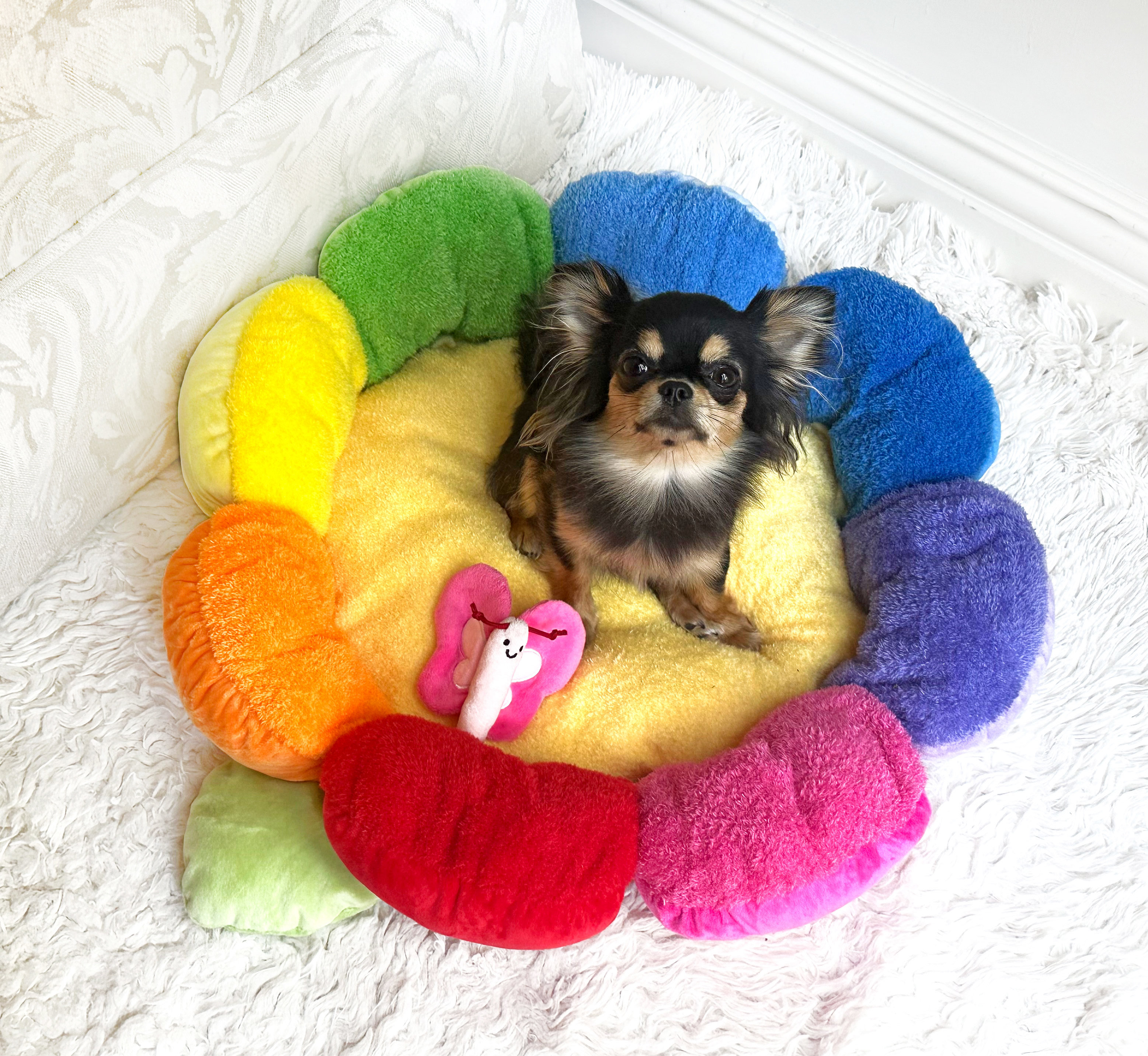 Dakota Fields Rainbow Flower Pet Bed and Butterfly Toy | Wayfair