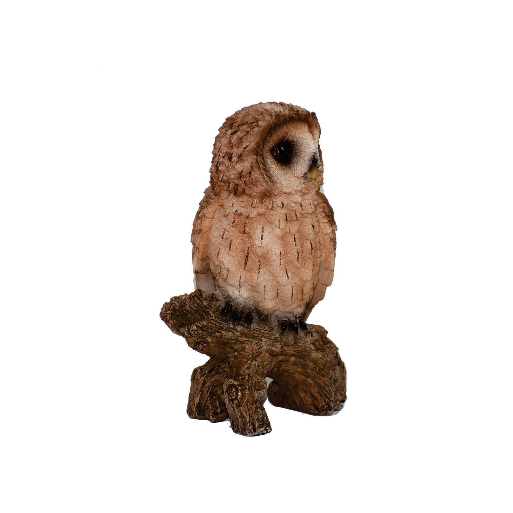 Hi-Line Gift Ltd. Tawny Owl on Stump Statue & Reviews | Wayfair