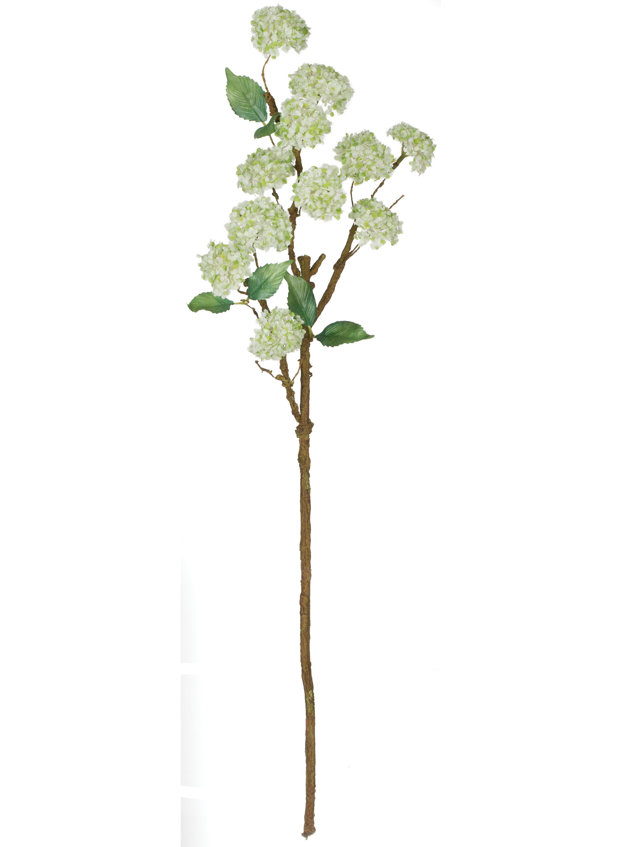 August Grove® Snowball Flower Branch & Reviews | Wayfair