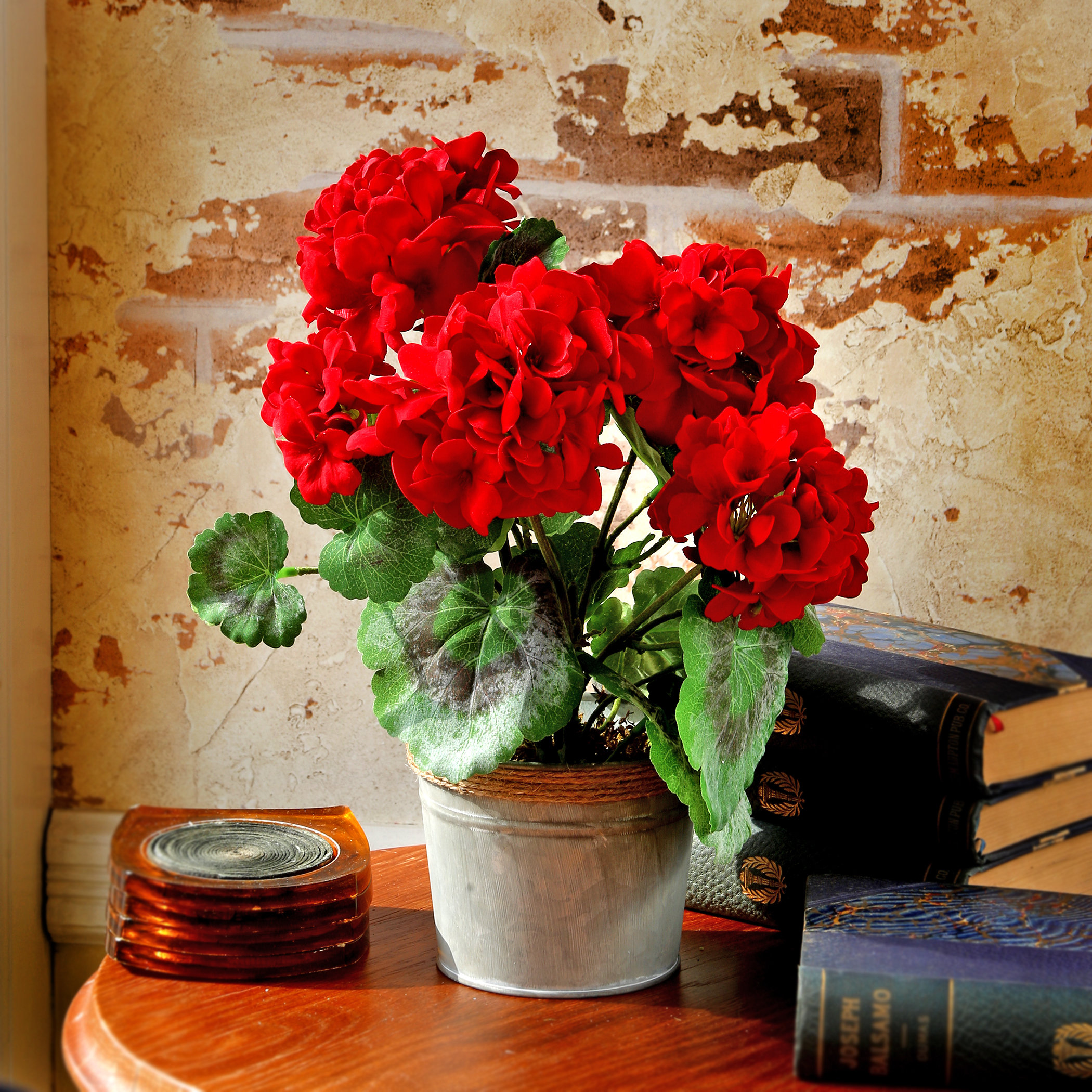 Laurel Foundry Modern Farmhouse® Geranium Flowering Plant in Pot ...