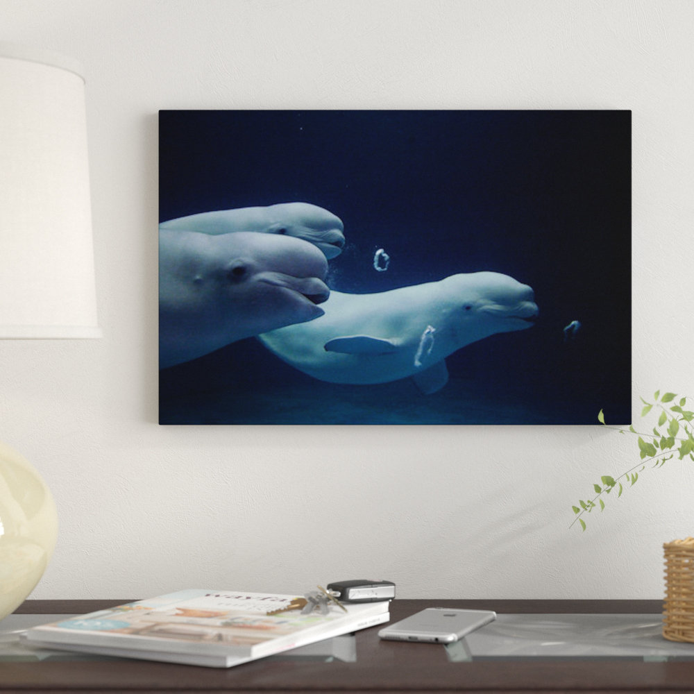 East Urban Home 'Beluga Whale Trio Blowing Toroidal Bubble Rings, Play ...