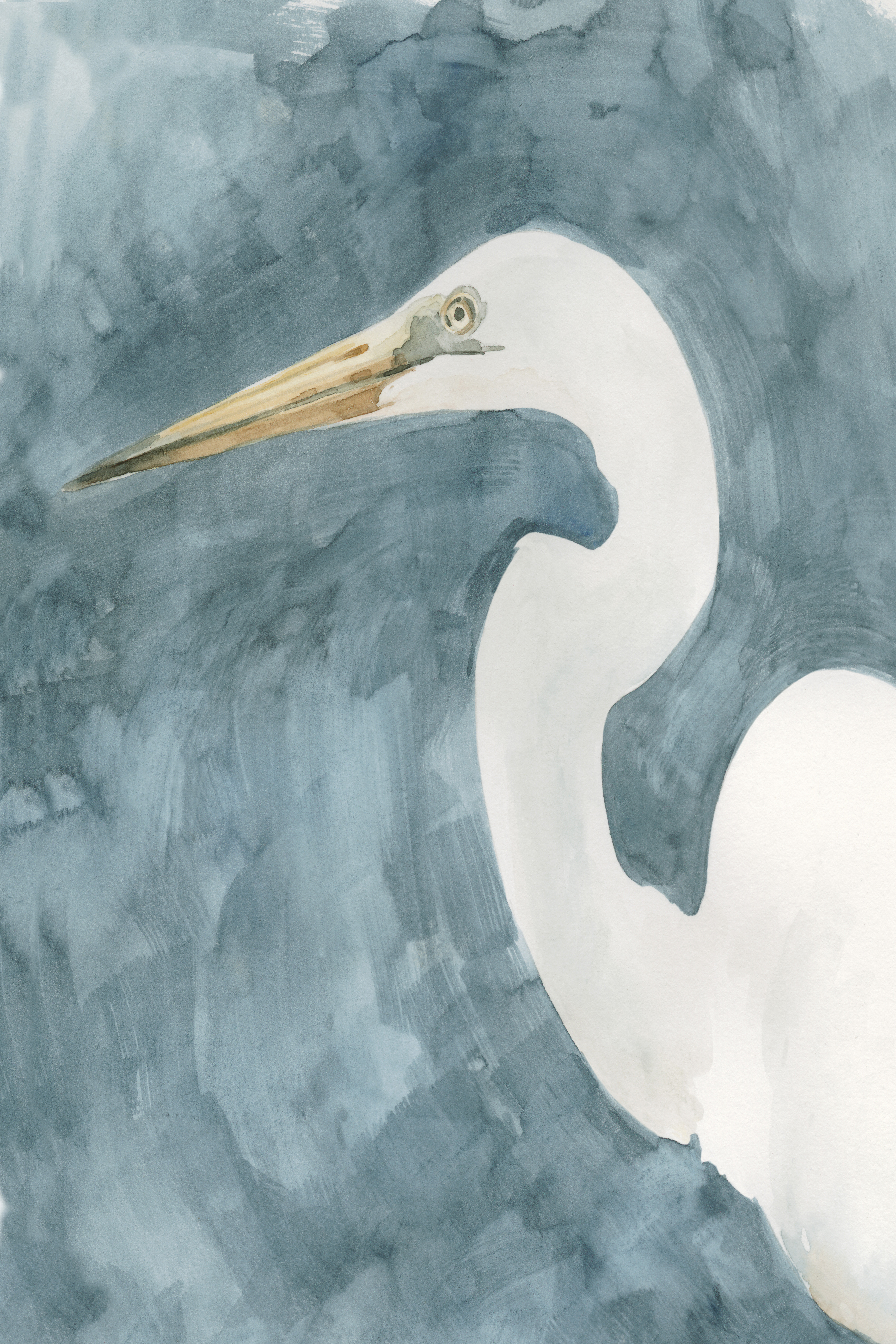 watercolour heron
