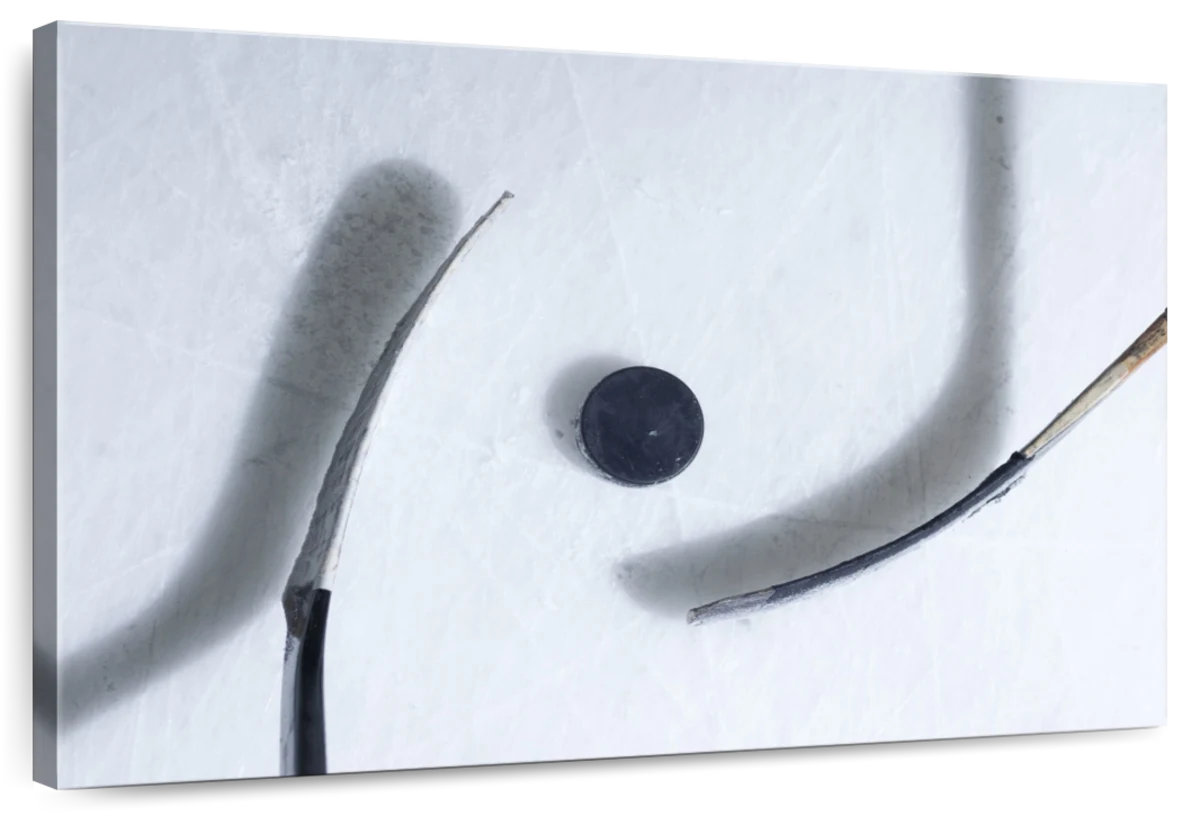 Ebern Designs Puck Drop Ice Hockey | Wayfair