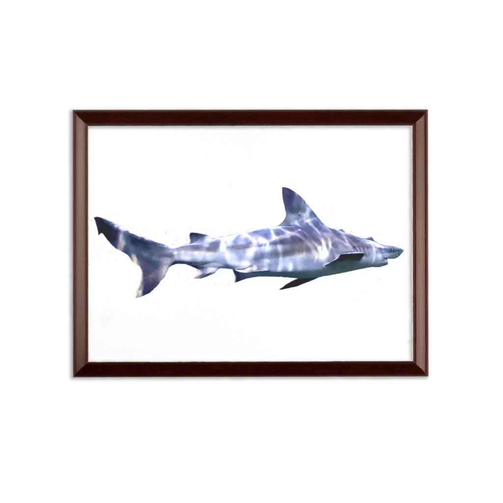 Highland Dunes Shark Sublimation Wall Plaque - Wayfair Canada