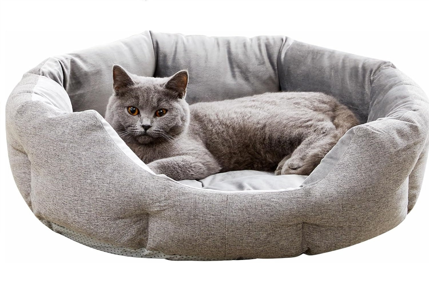 Tucker Murphy Pet™ Cat Beds For Indoor Cats | Wayfair