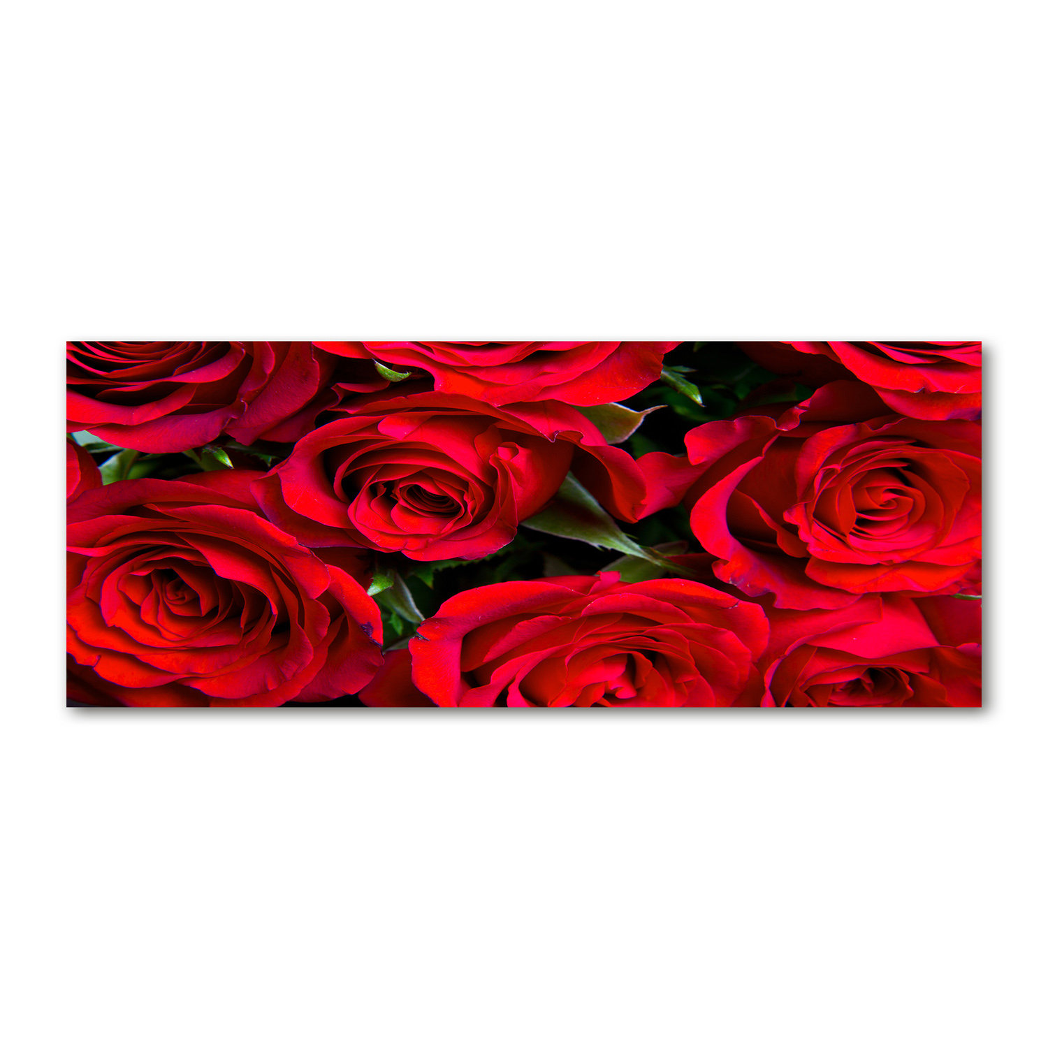 Brayden Studio Red Roses - Unframed Photograph on Canvas | Wayfair.ie