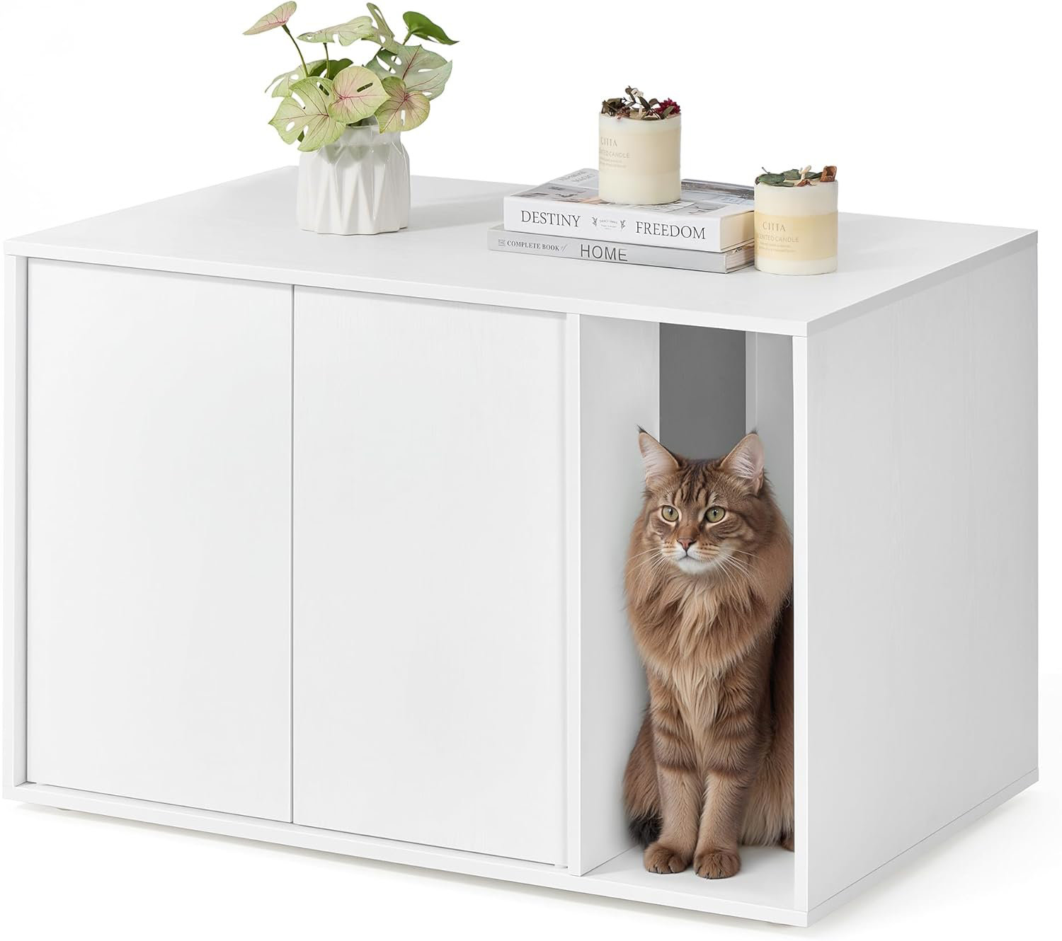 Latitude Run® Superfast Toolless Assembly, Cat Litter Box Enclosure ...