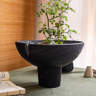 Loon Peak® Chela Wood Decorative Bowl in Black | Wayfair