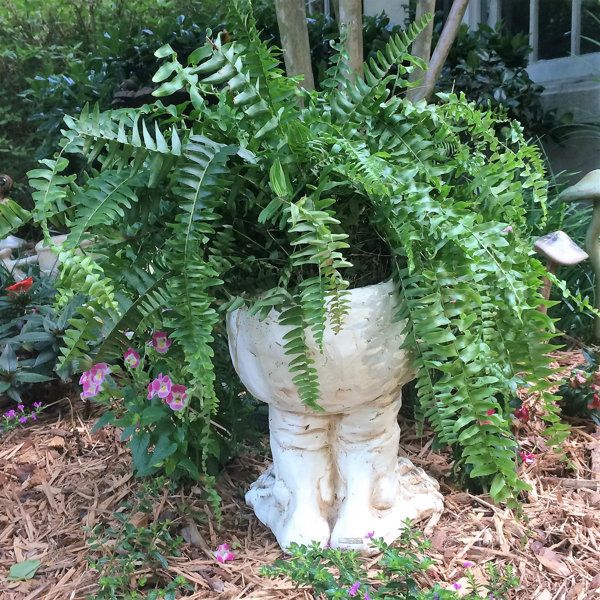 HomeStyles Muggly's Garden Statue & Reviews | Wayfair