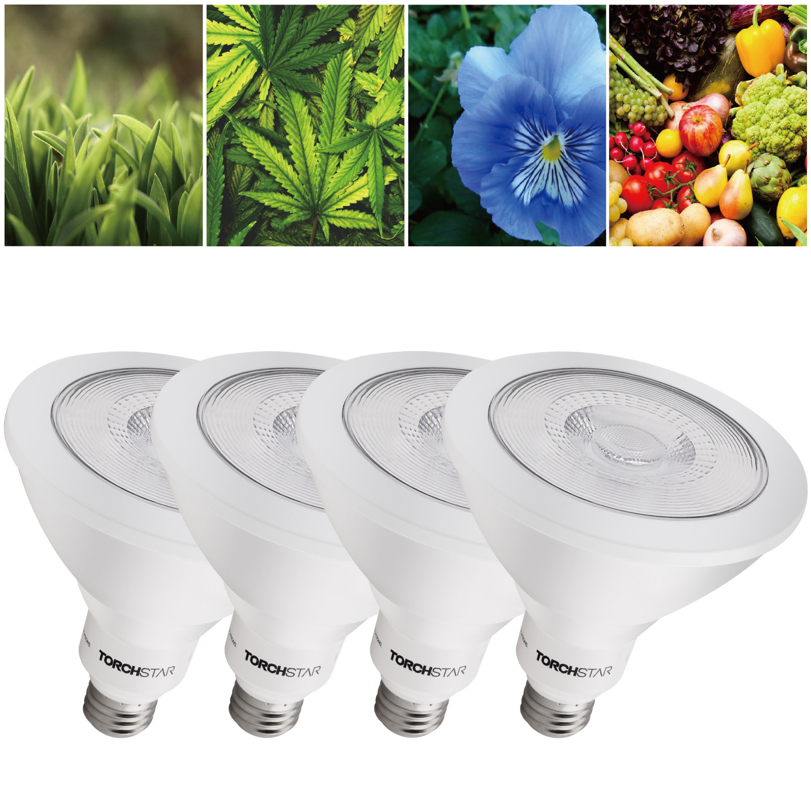 TORCHSTAR 18W Dimmable PAR38 LED Bulb, 120W Eqv. Spotlight, 3000K Warm ...