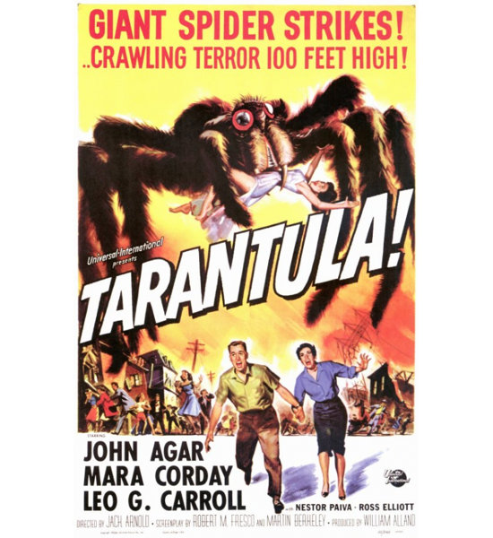 Tarantulas | Wayfair