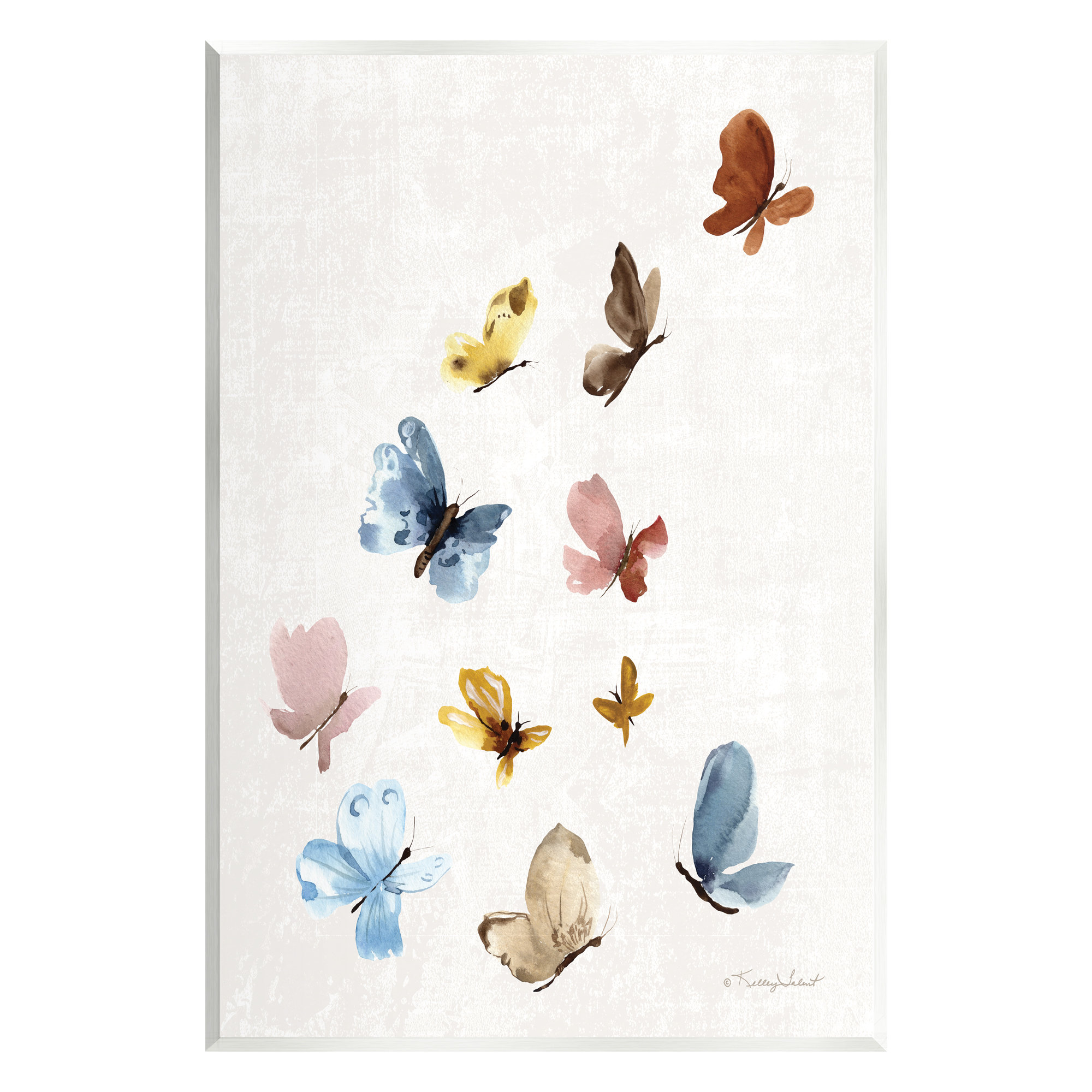 Stupell Industries Varied Butterflies Flutter Nature Grey Framed Giclee ...
