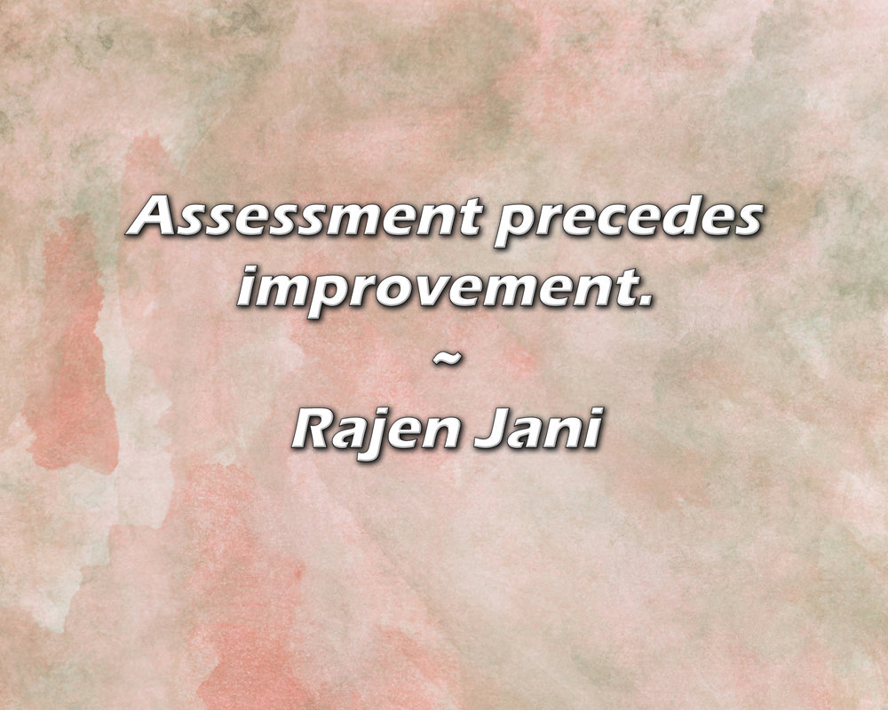 Trinx Rajen Jani Quote: Assessment precedes improvement. | Wayfair
