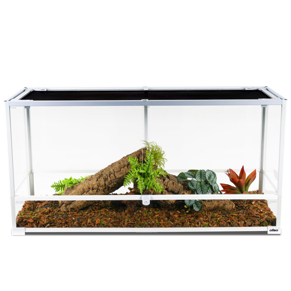 OiiBO 48'' x 18'' x 24'' Reptile Terrarium - Wayfair Canada