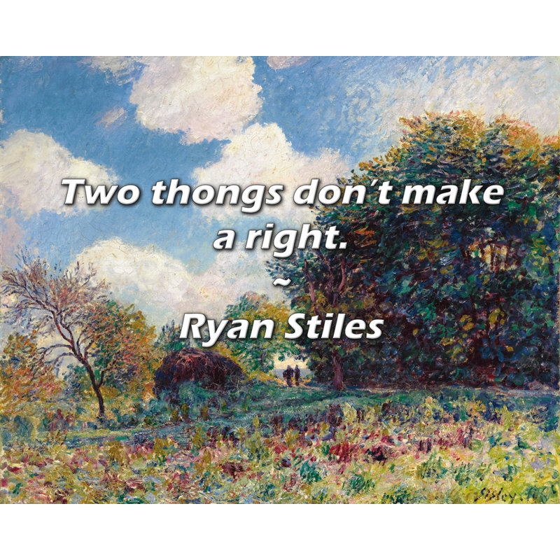 Trinx Ryan Stiles Quote: Two thongs don’t make a right. | Wayfair