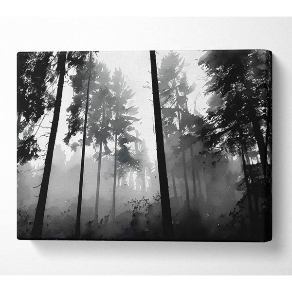 Alpen Home Mist Of The Woodland Black And White - Wrapped Canvas Art ...