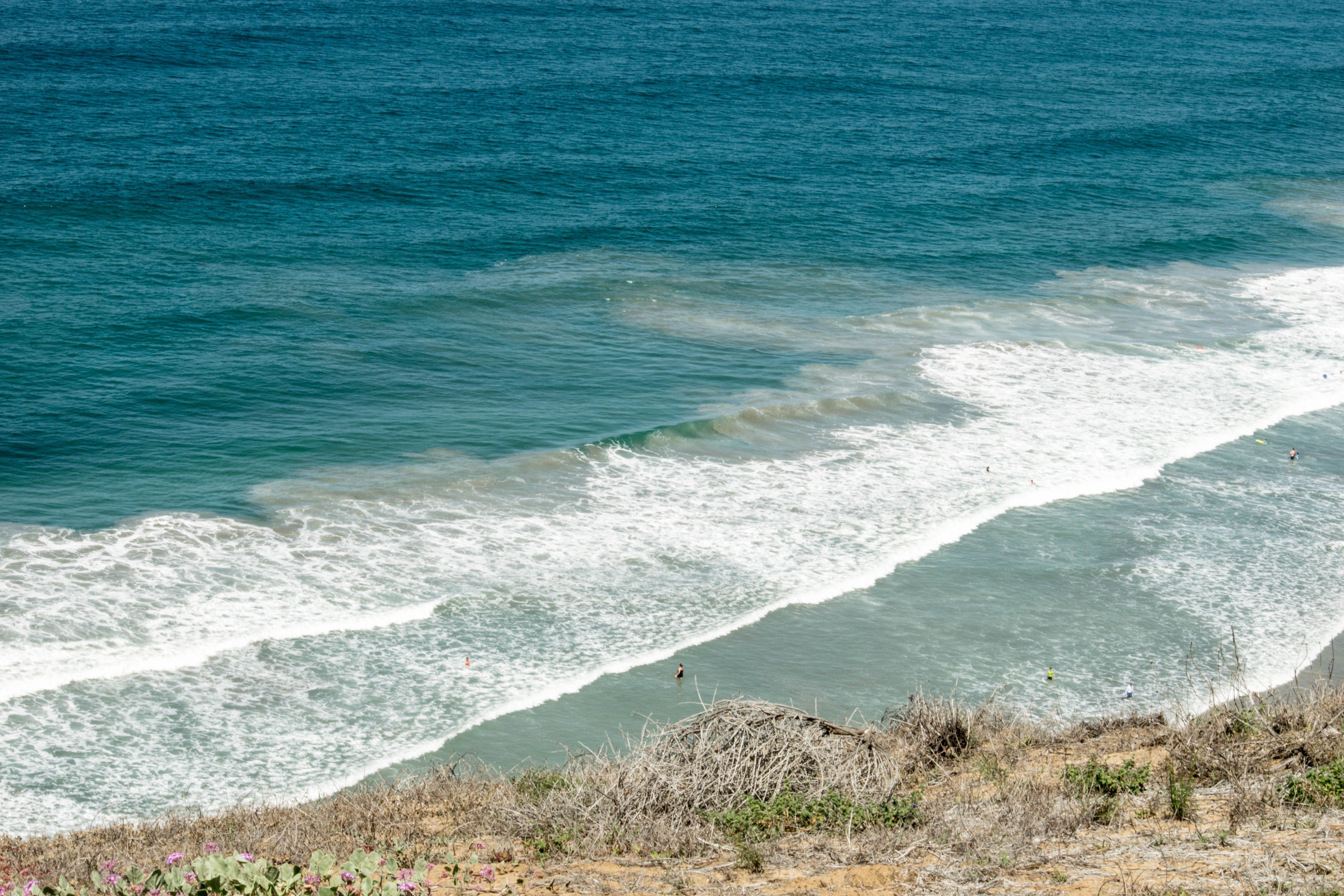 Highland Dunes Riptides at Torrey Pines by Sdbest - Wrapped Canvas ...