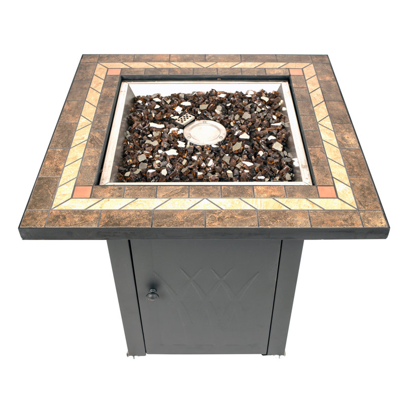 Latitude Run® Steel Propane Gas Fire Pit Table & Reviews | Wayfair