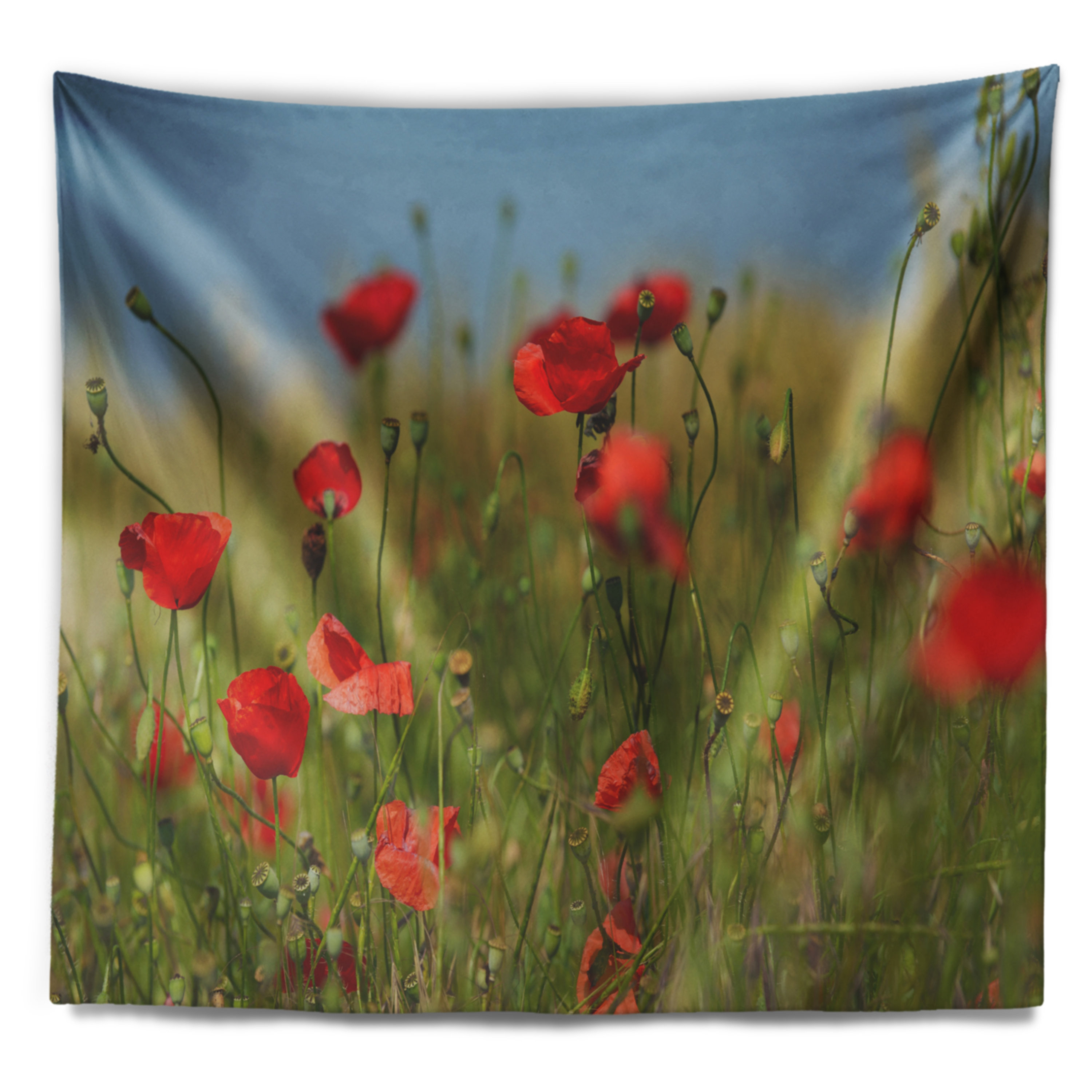 East Urban Home Wild Poppy Flowers in Green Garden Tapestry | Wayfair