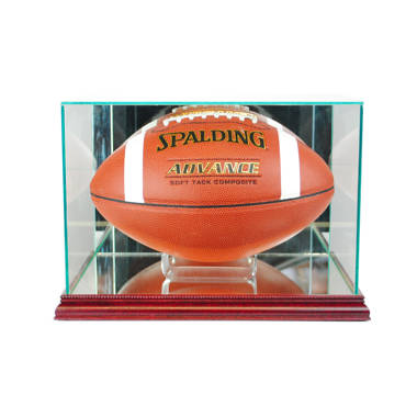 Perfect Cases And Frames 15'' W 11'' D Basketball Glass Ball / Puck ...