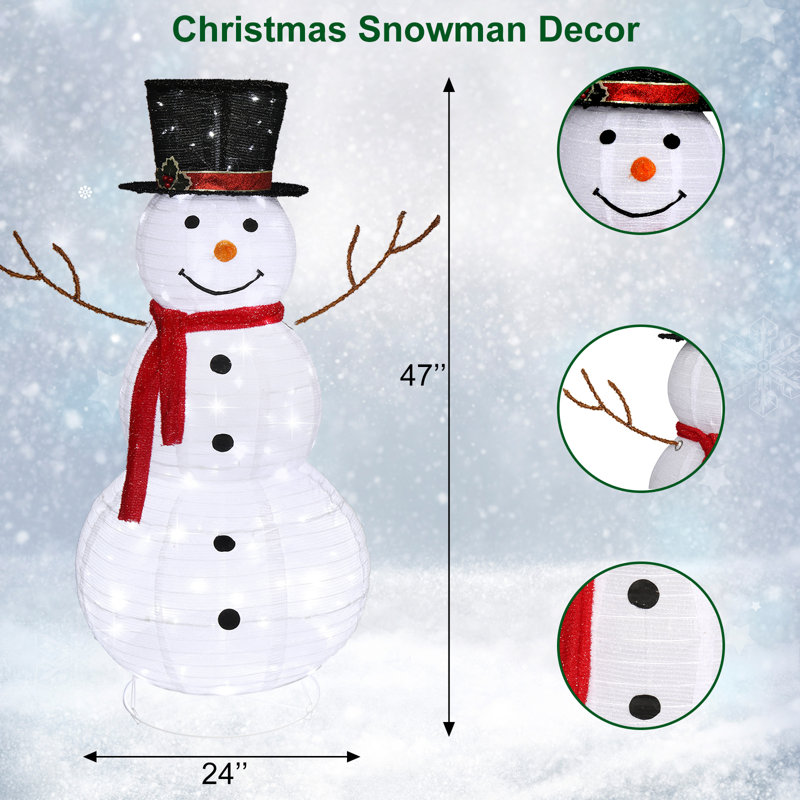 The Holiday Aisle® Snowman Lighted Display & Reviews | Wayfair