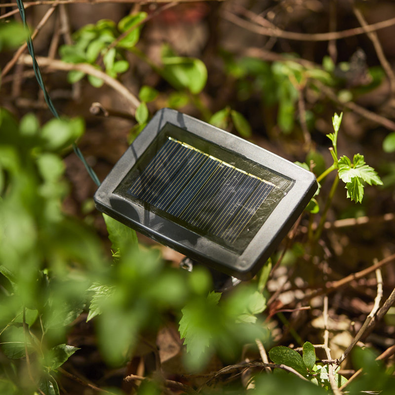 The Holiday Aisle® Jovanne 200 - Bulb 72' Solar Powered LED Mini String ...